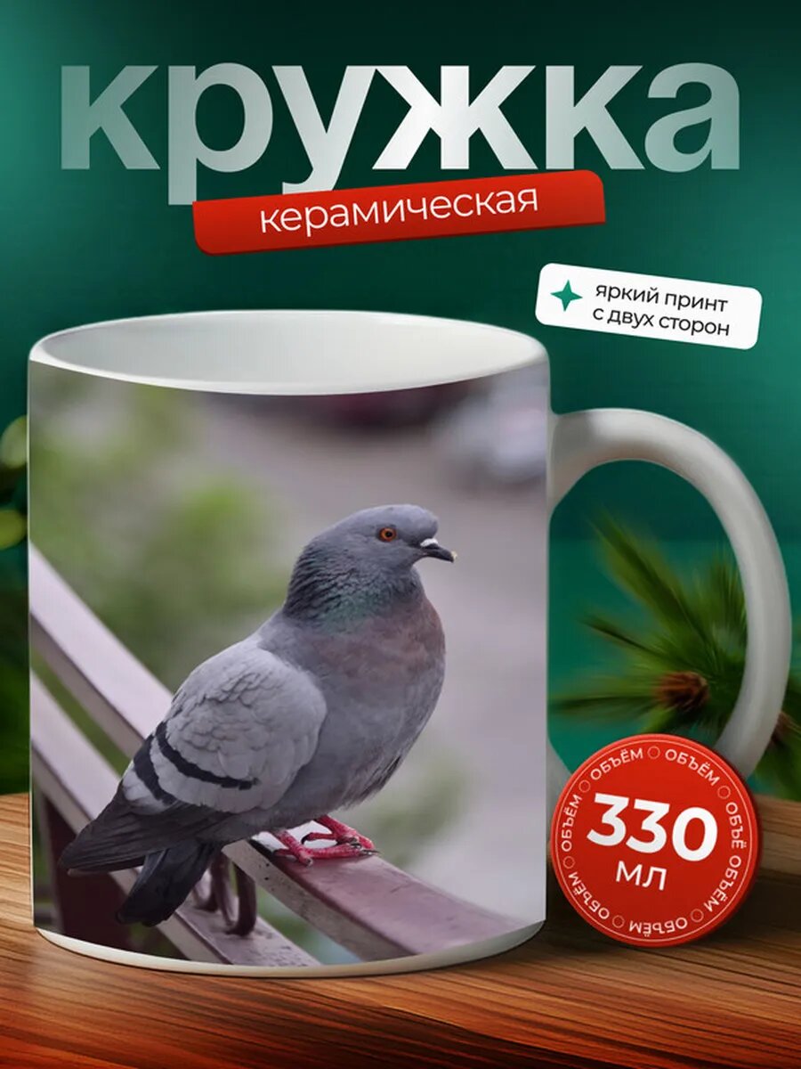 Кружка Голубь птица,