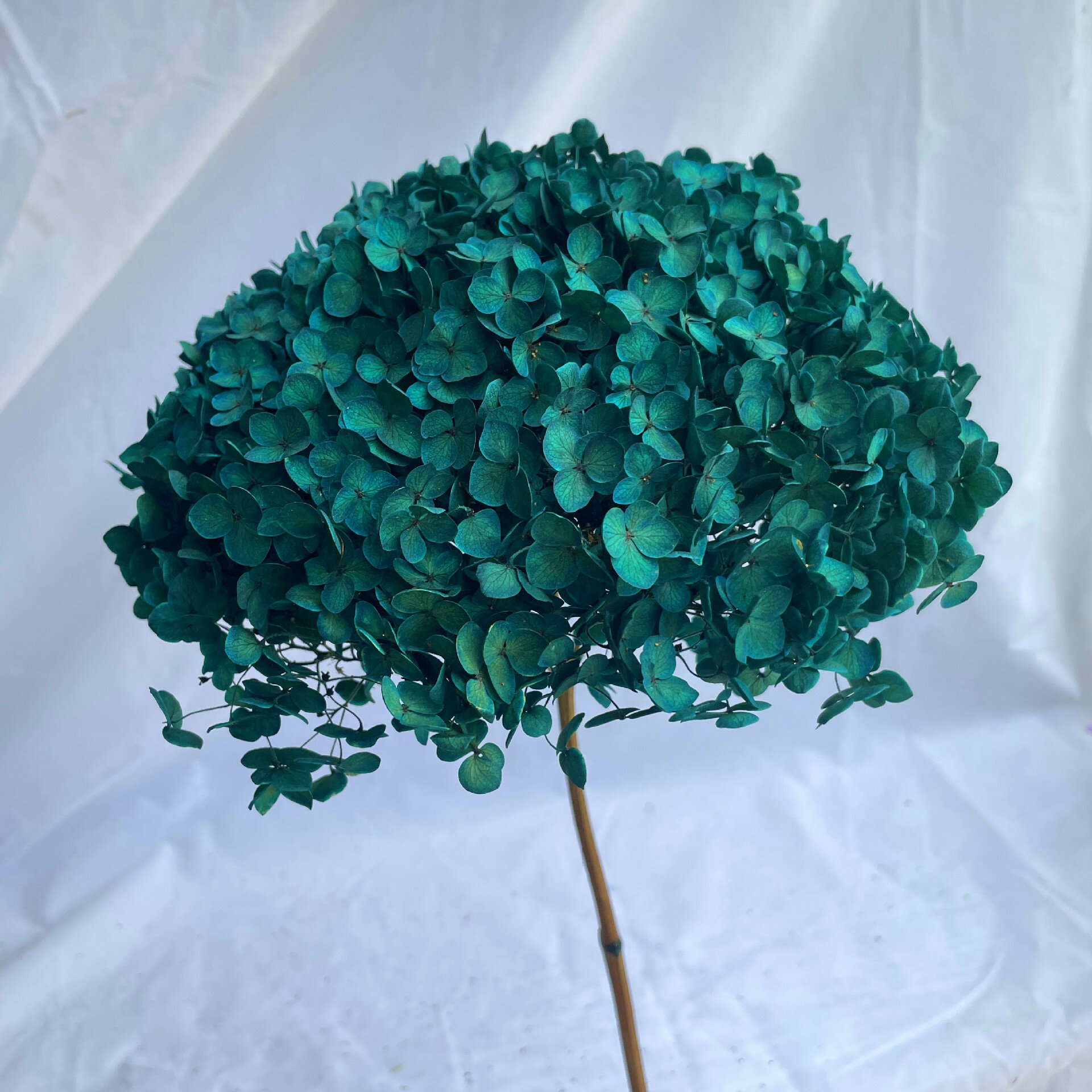 Аранжировщик цветов, одиночная ветка, подарок Анны, гортензия, сушеный цветок, вечная гортензия, домашний декор, цветочная композиция, многоцветная