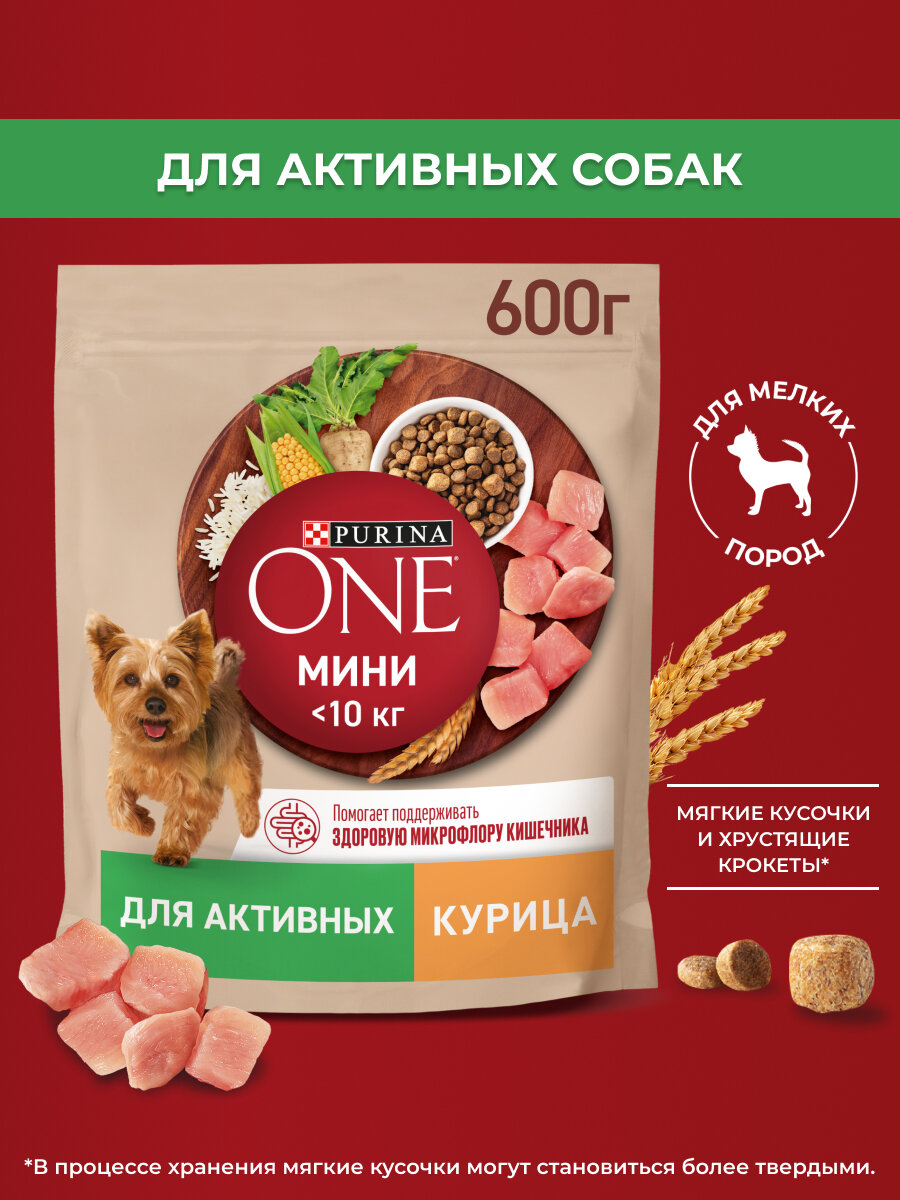 Сухой корм Purina ONE® мини для активных собак мелких пород с курицей и рисом, 600 г