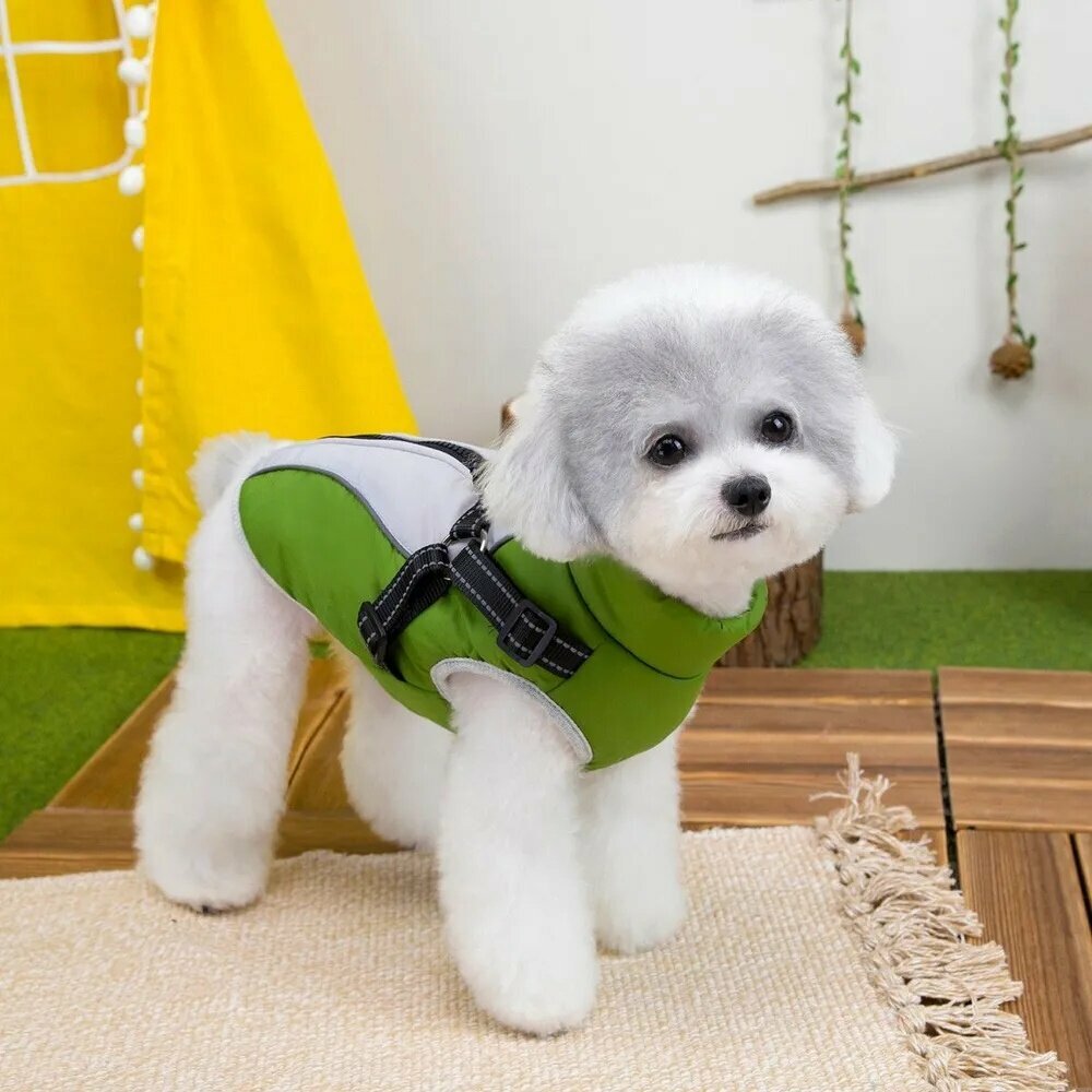 Зимний жилет для щенков утепленный и стильный идеальная одежда для маленьких собачек в холодное время года