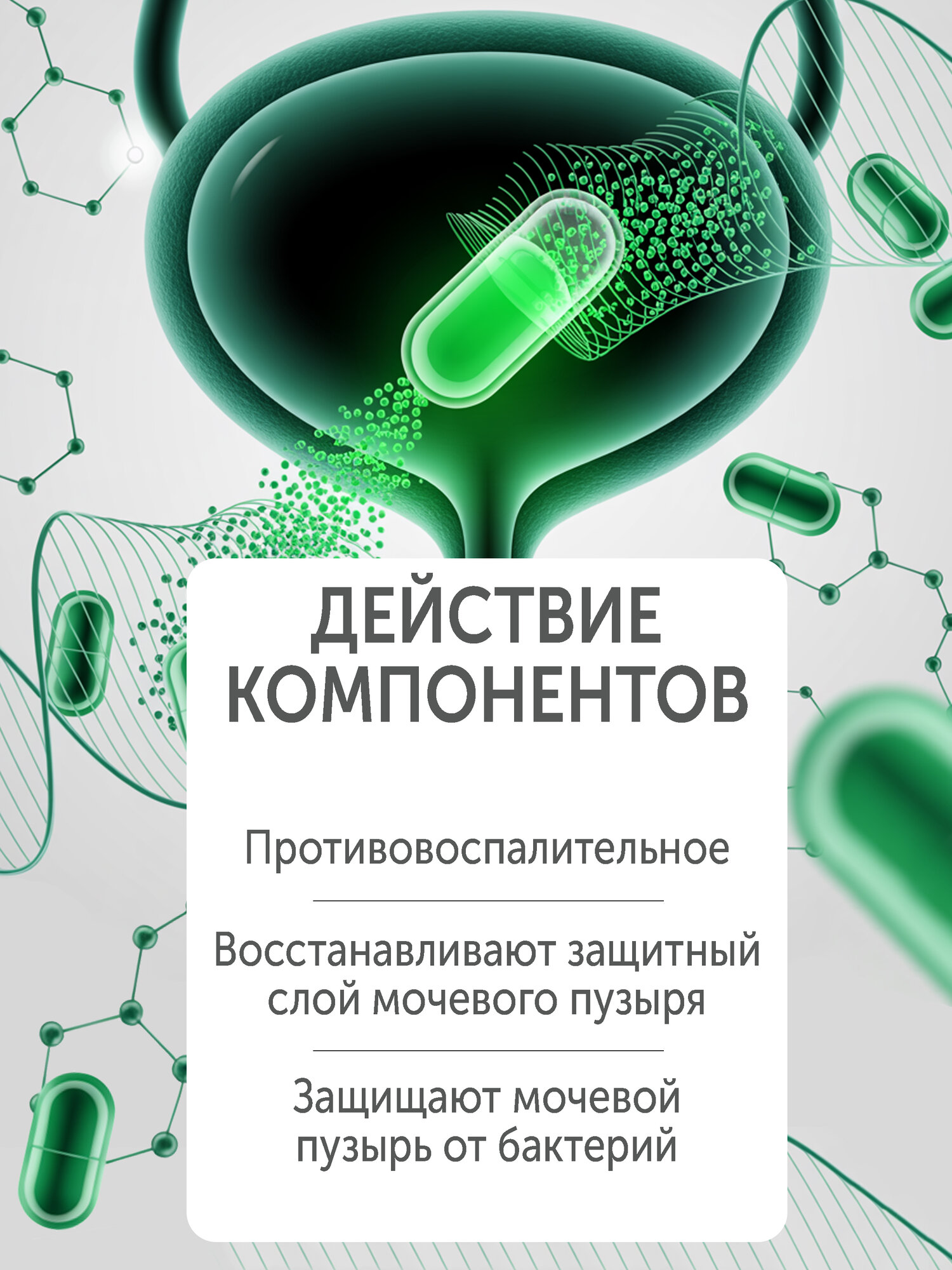 Уролайф БАД, от цистита (цистит, профилактика, лечение), 30 капсул — фото 1