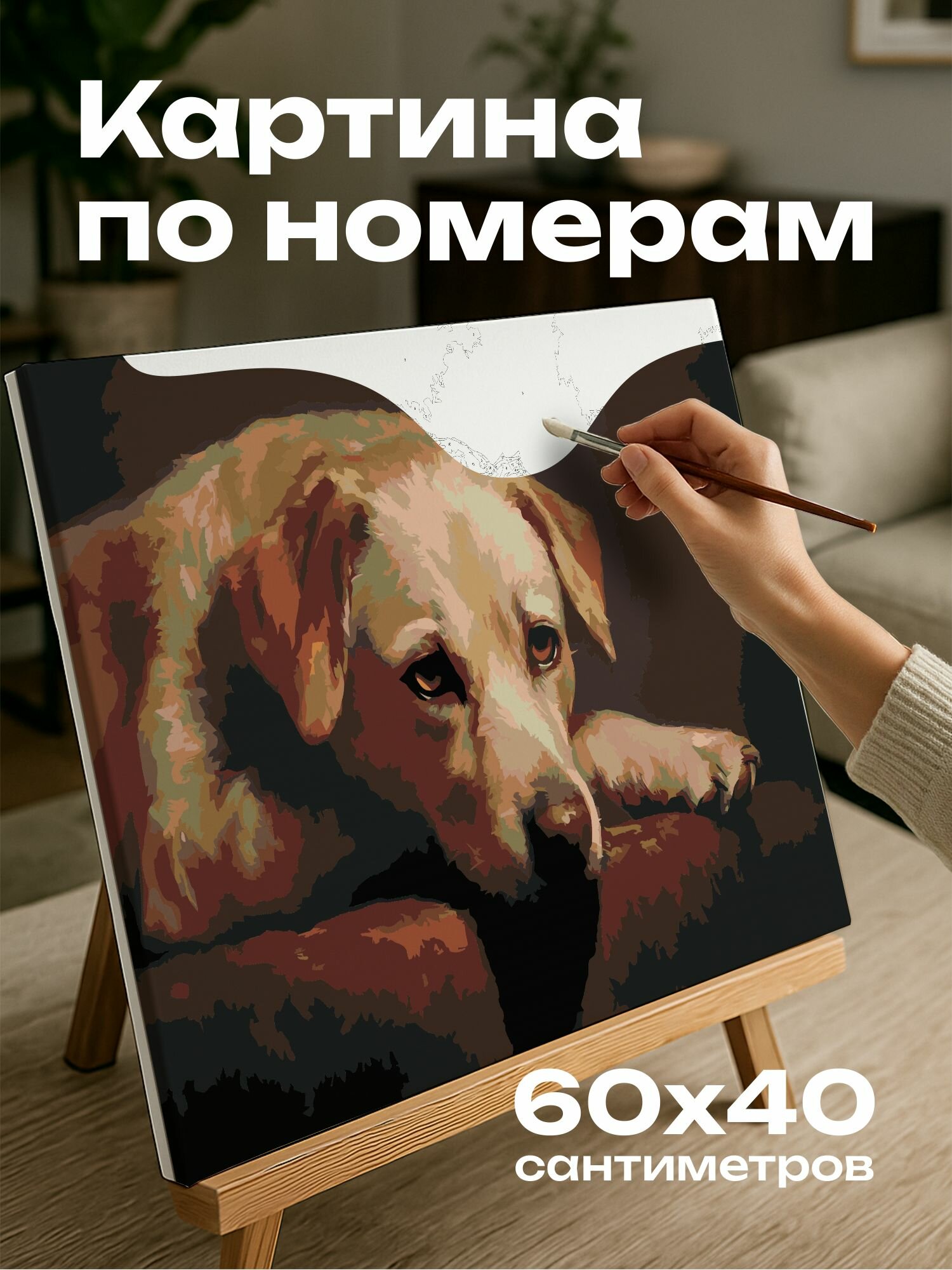 Картина по номерам 60x40 см, собака, масляная живопись, задумчивость, глубокие глаза, тени, свет, эмоциональный