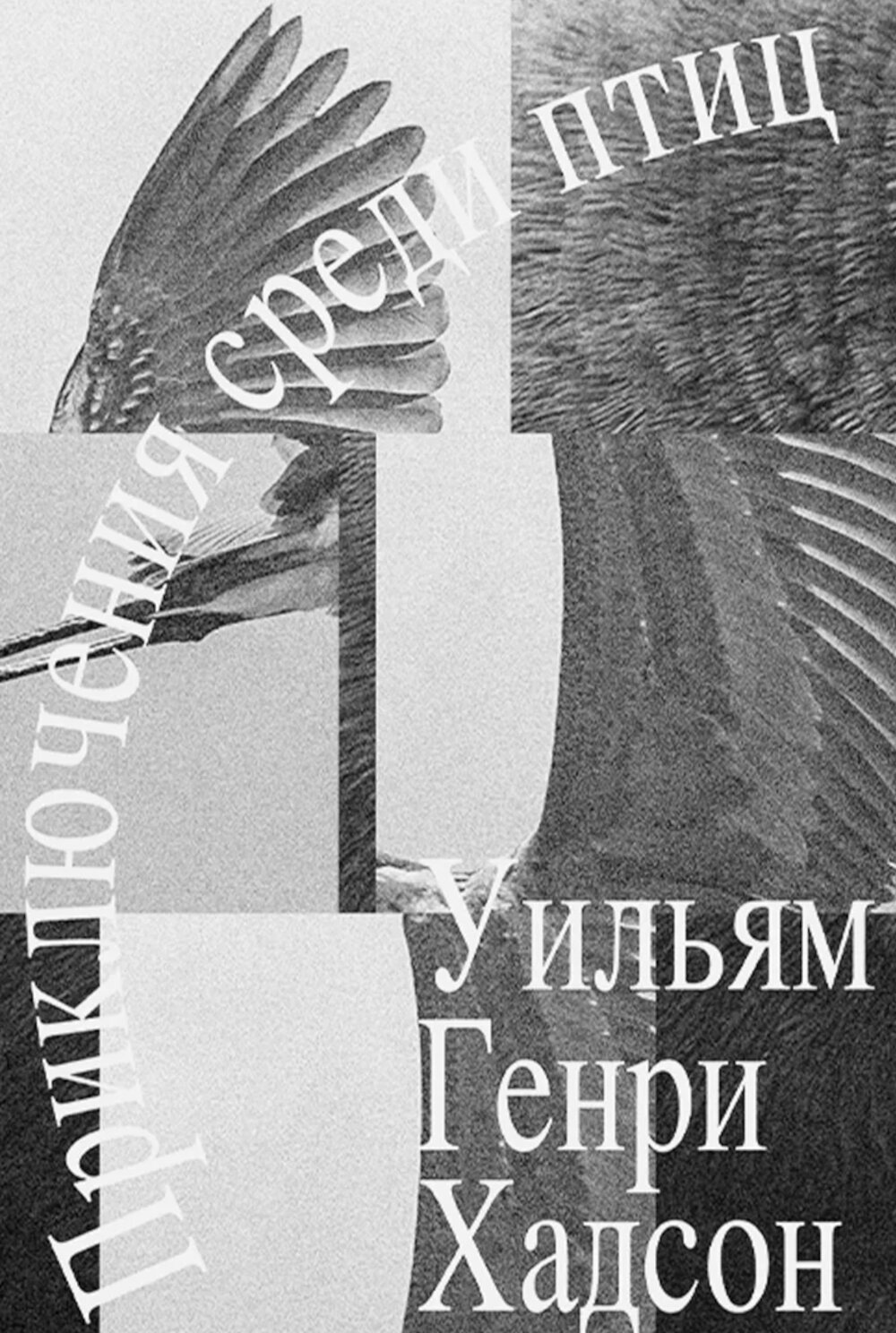 Приключение среди птиц. Хадсон У. Г.