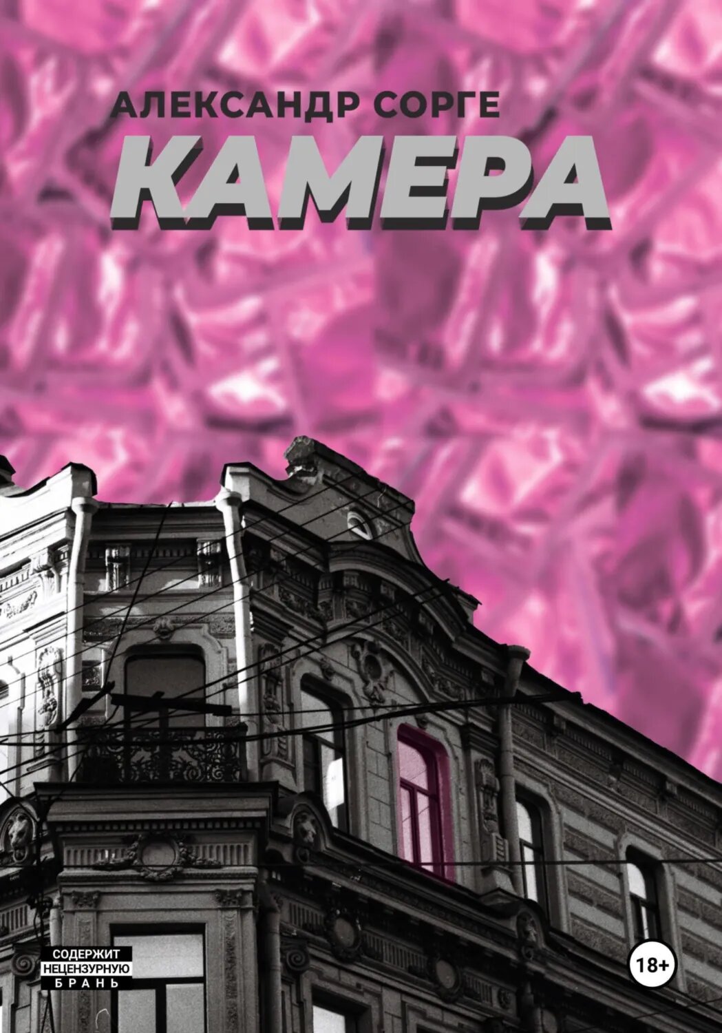Камера [Цифровая книга]
