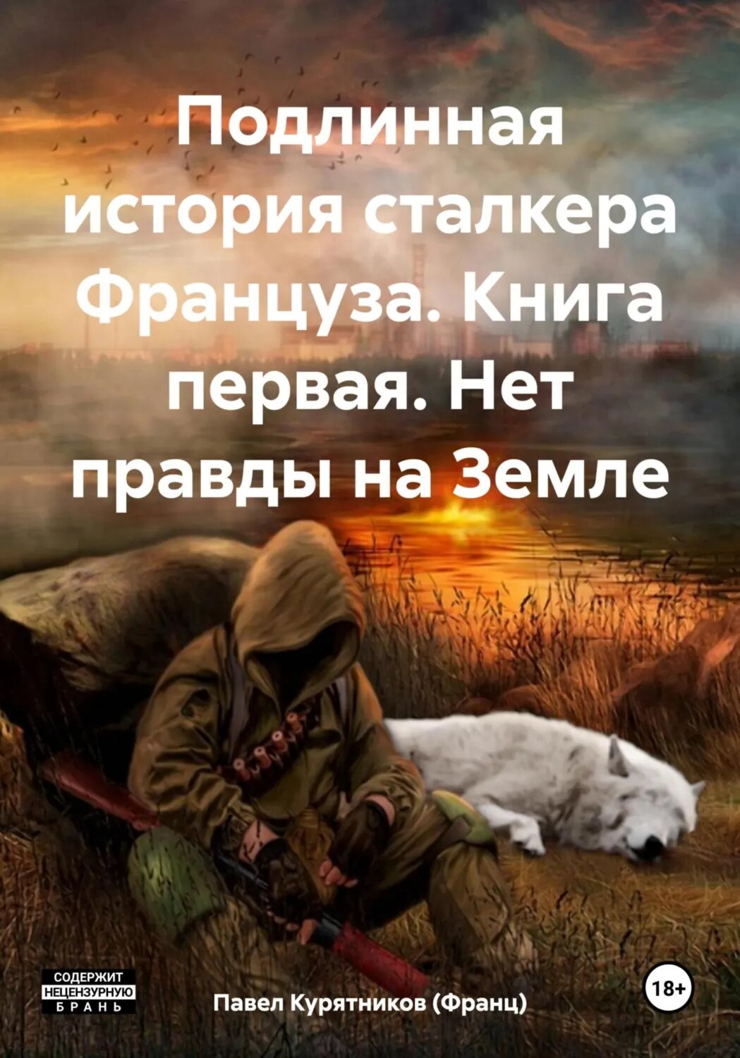 Подлинная история сталкера Француза. Книга первая. Нет правды на Земле [Цифровая книга]