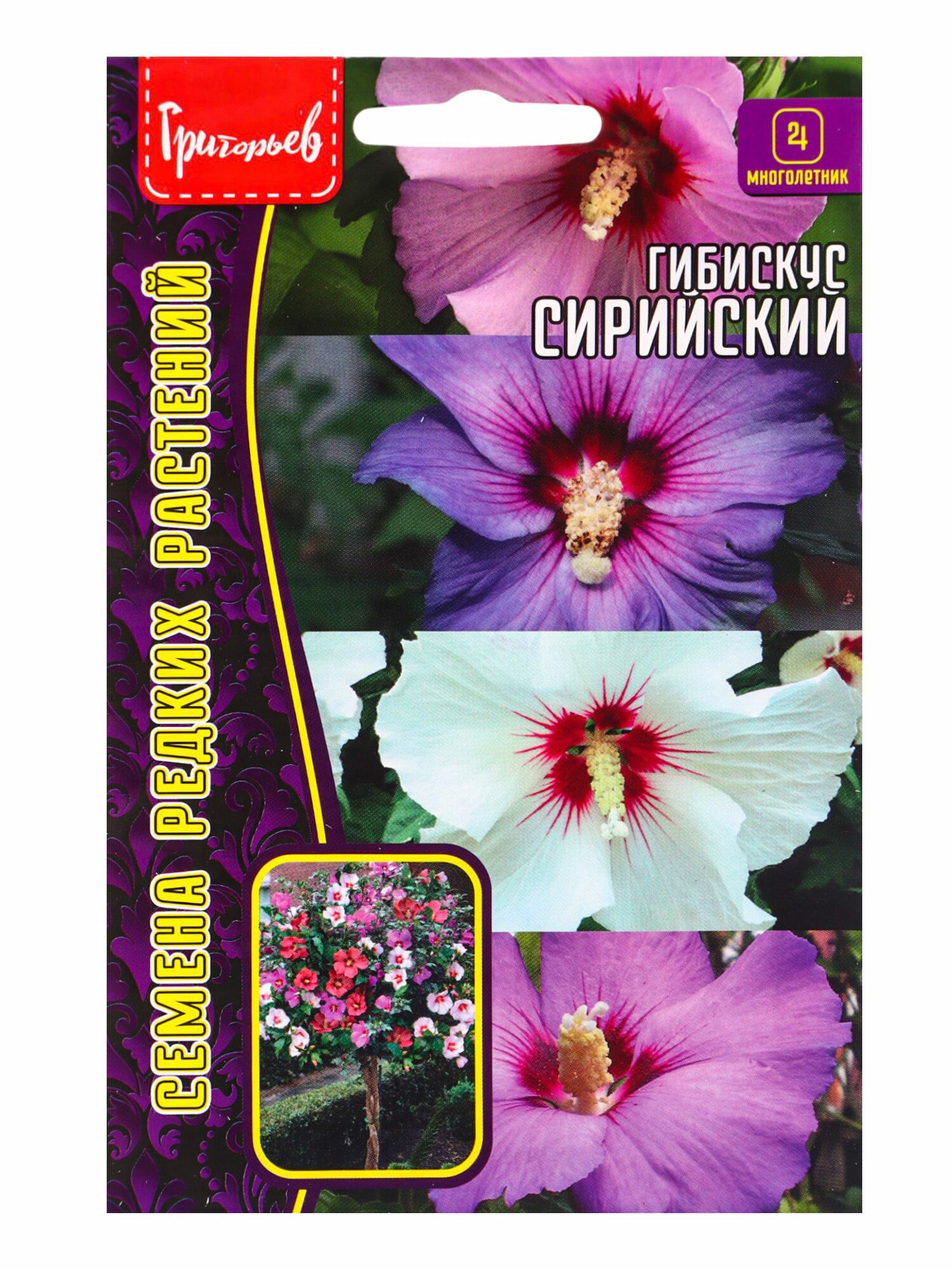 Семена цветов Гибискус Сирийский 7 шт. 12.29 гр, цветение период: август