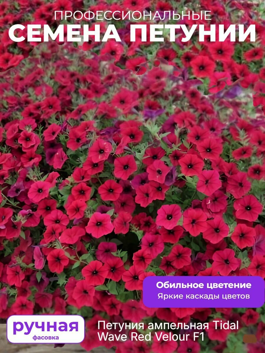 Семена петунии ампельной"Tidal Wave Red Velour",3 драже PanAmerican Seed