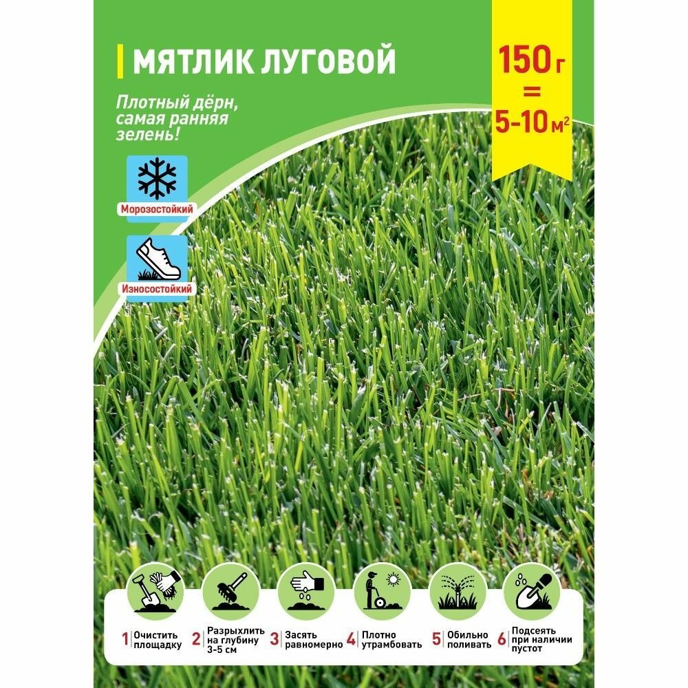 Семена газонной травы Мятлик Луговой Бруклоун/Многолетник, 150 гр, Русский Огород.