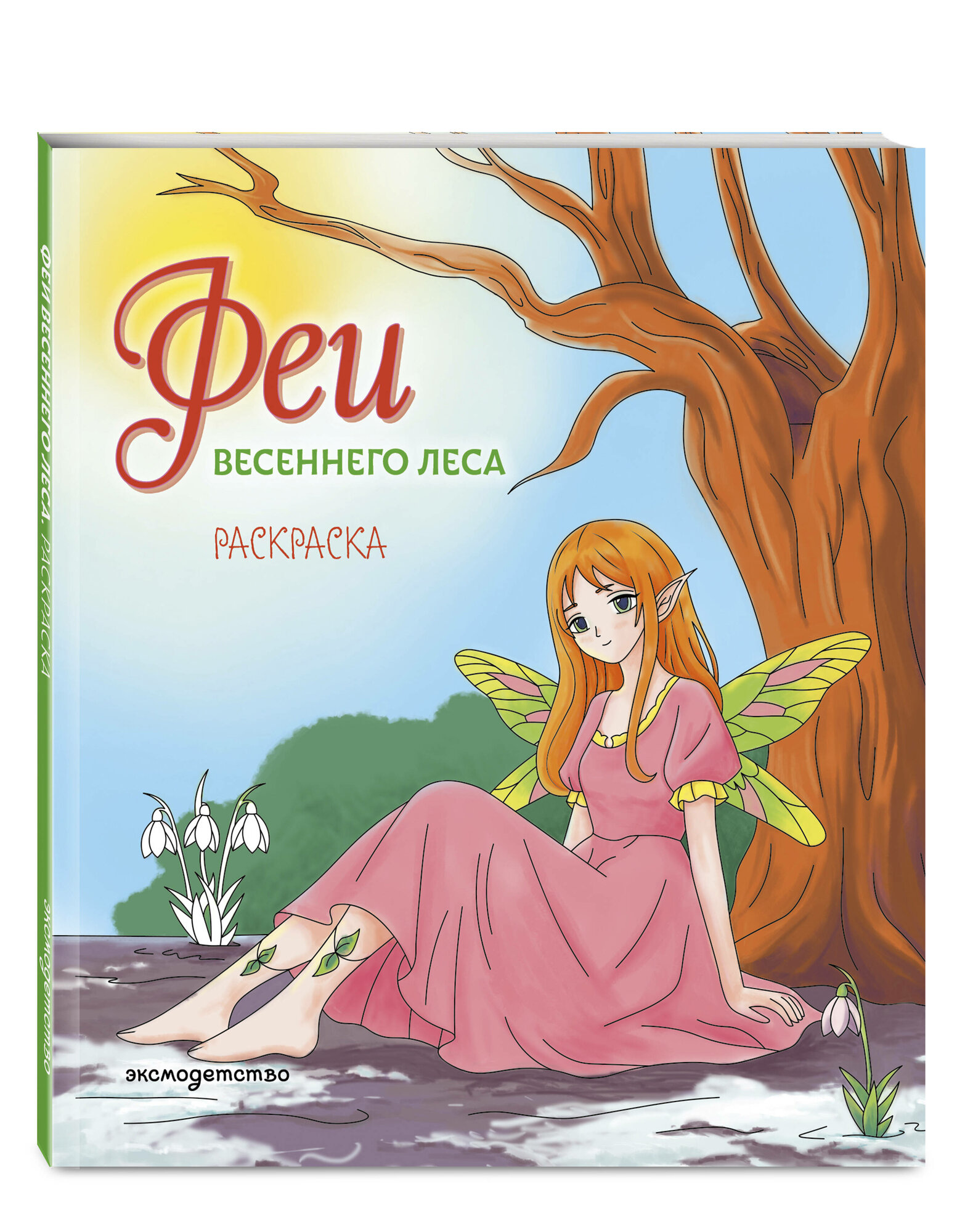 Феи весеннего леса. Раскраска