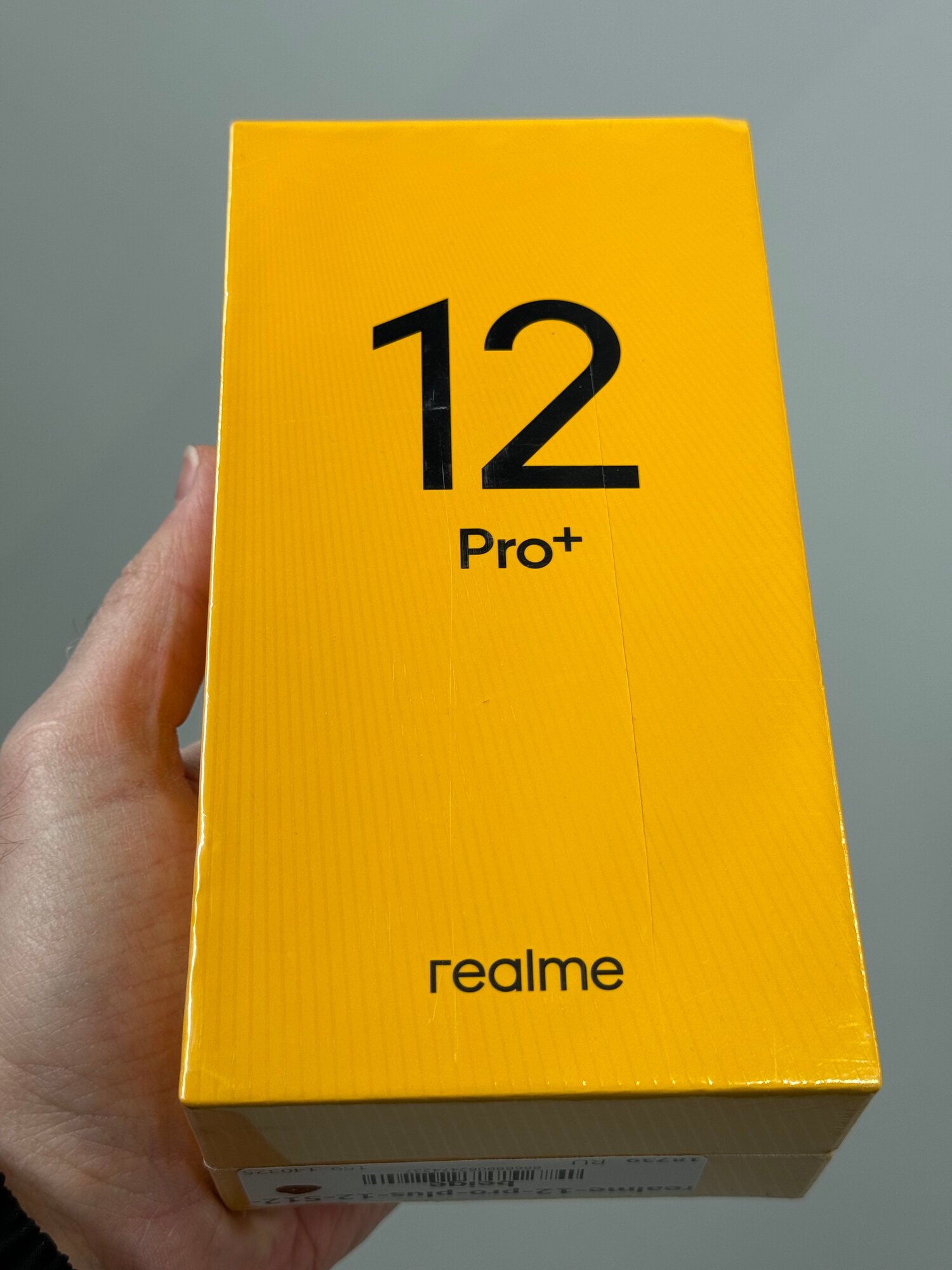 Смартфон Realme 12 Pro+ 12/512 ГБ RU, Dual nano SIM, Navigator Beige (бежевый)