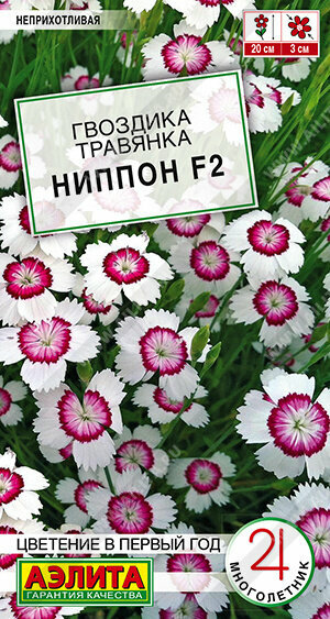 Семена гвоздики аэлита "Ниппон F2", многолетние, неприхотливые, аромат, для клумб