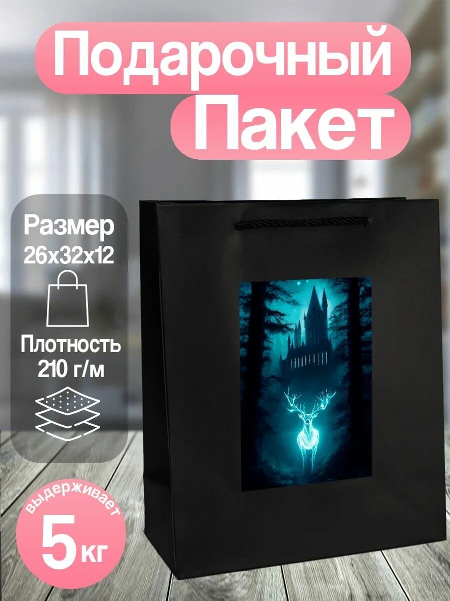 Пакет подарочный Гарри Потер