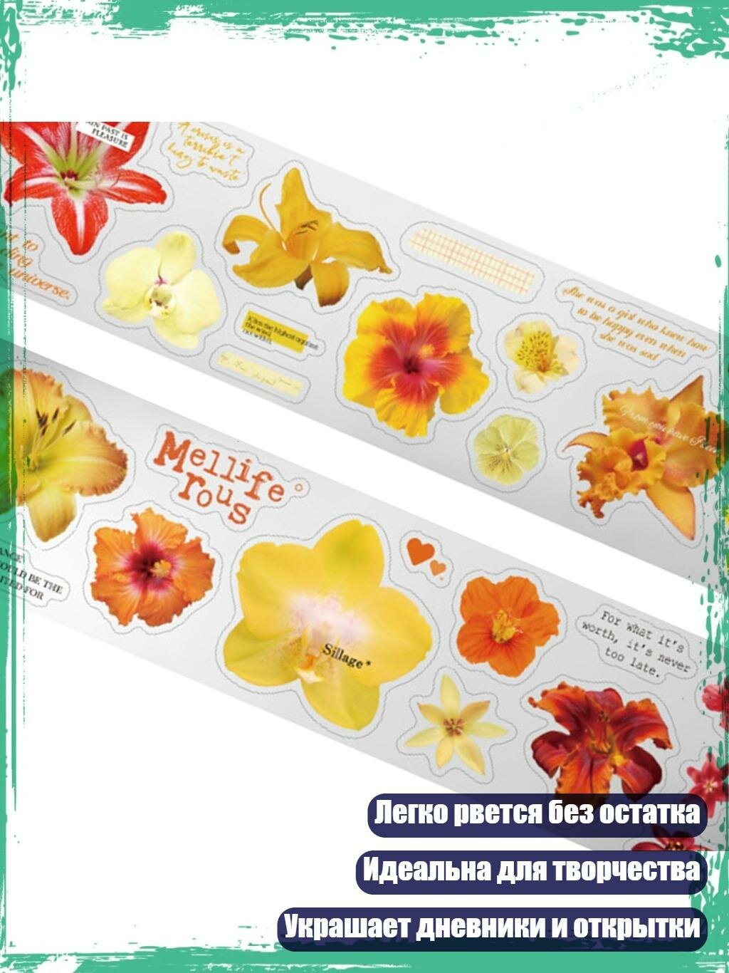 Широкая ПЭТ-лента, 1