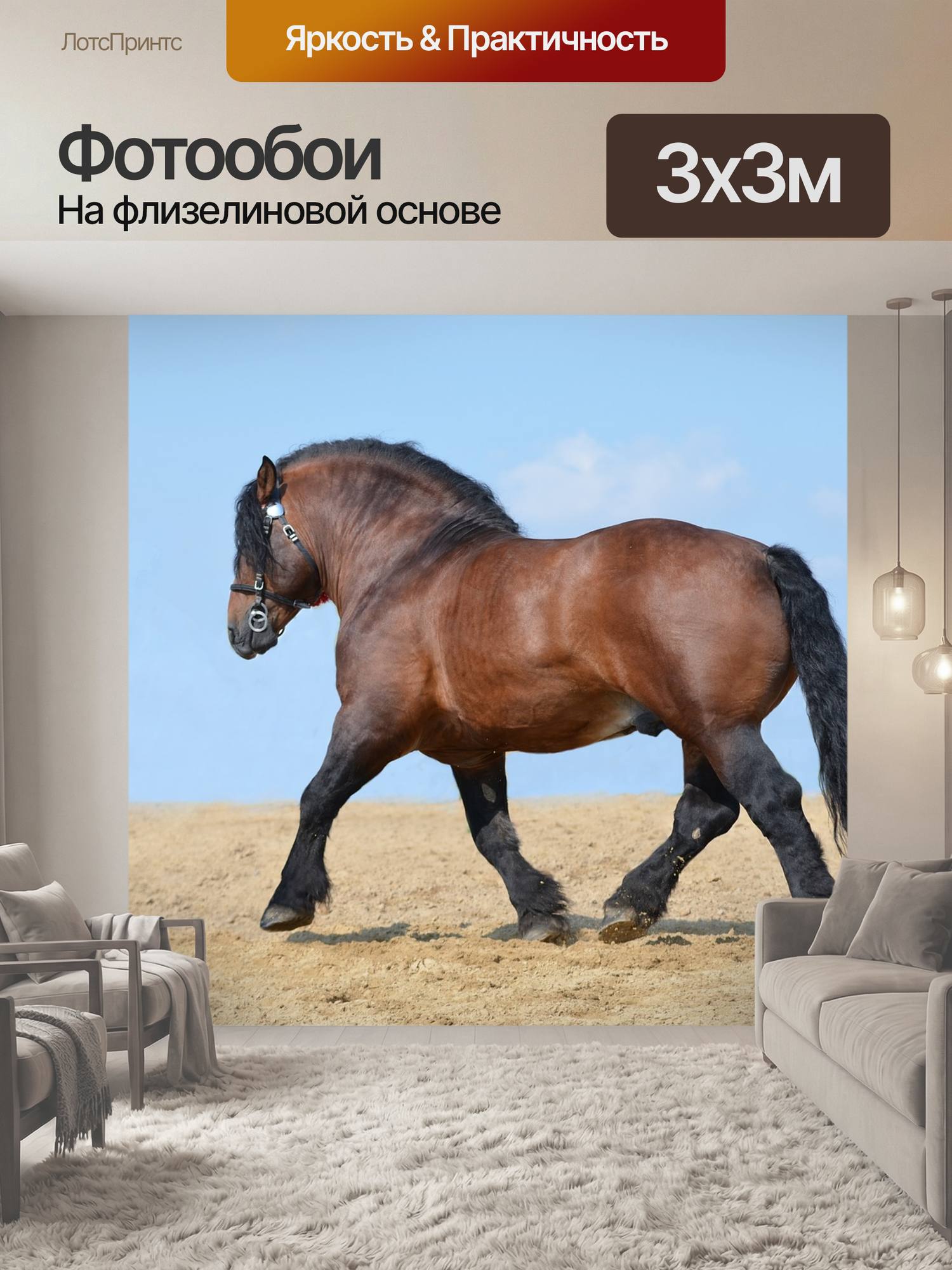 Фотообои "Лошадь, тяжеловозам, жеребец" 300x300 см. экосольвентная печать