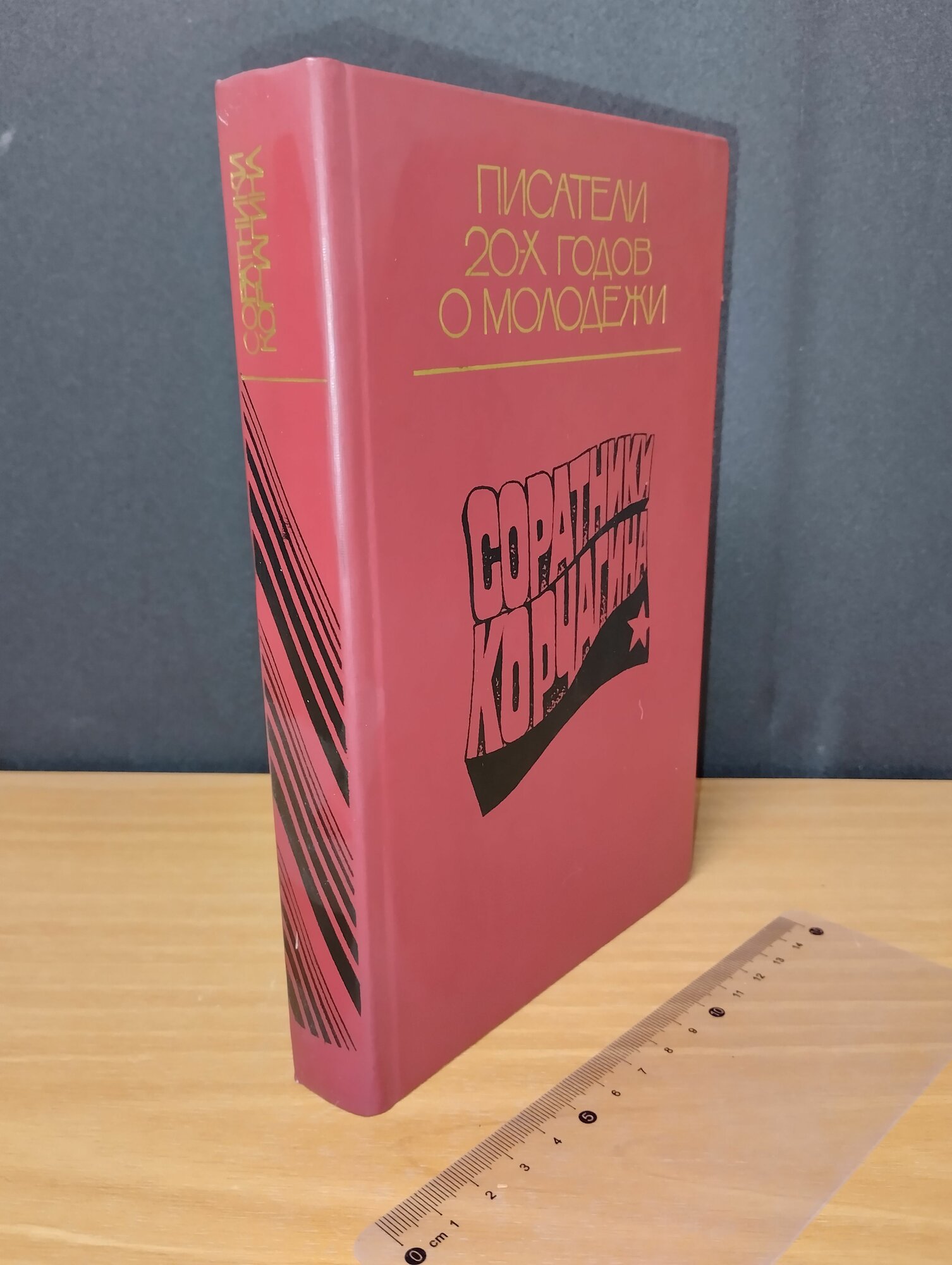 Писатели 20-х годов о молодежи. Соратники Корчагина. 1988