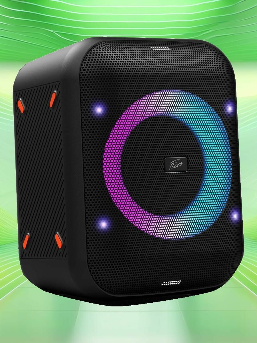 Портативная аудиосистема Fiero Emotion 100 FR800, 200 Вт, Bluetooth, AUX, черный