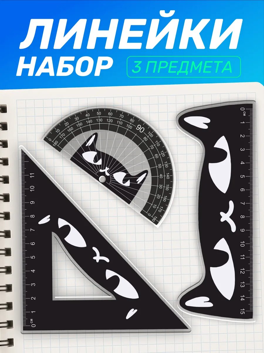 Набор линеек для школьника с транспортиром Хитрый котик