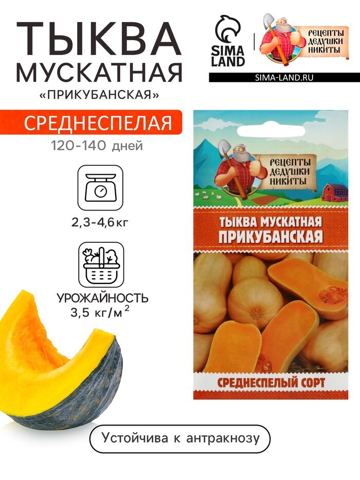 Семена Тыква мускатная Прикубанская, 2 г, 2 шт.
