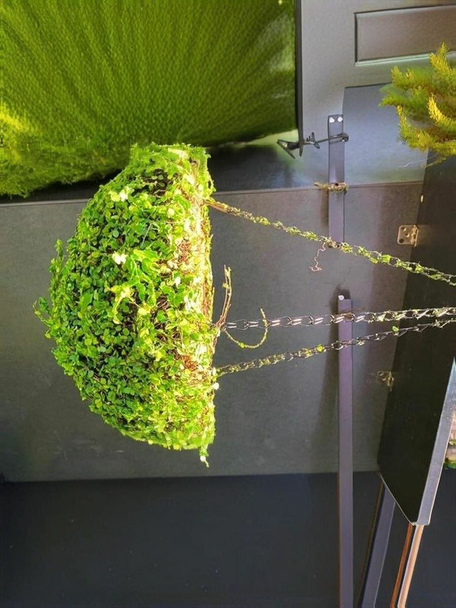 Кашпо для цветов "Сфагнум" с кокосовым волокном, подвесное d 20см, листики