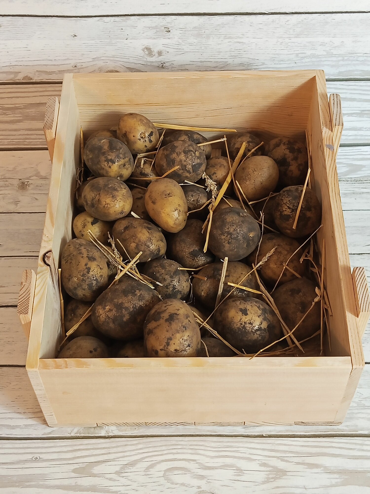 Картофель Гала 1-1.5 кг