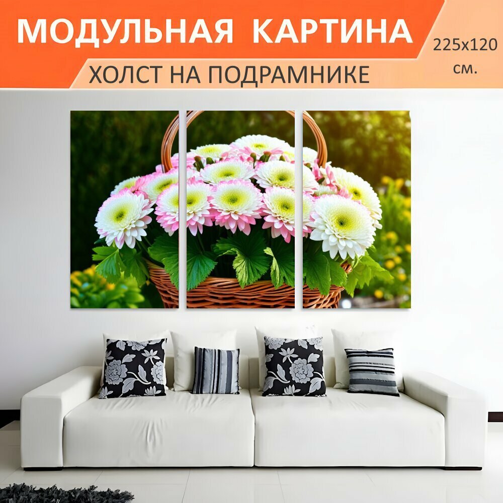 Модульная картина на холсте "Корзина, с большим букетом белых и бледно-розовых цветов хризантем с зелеными листьями, стоит на столе." триптих на подрамнике 225х120 см. для интерьера