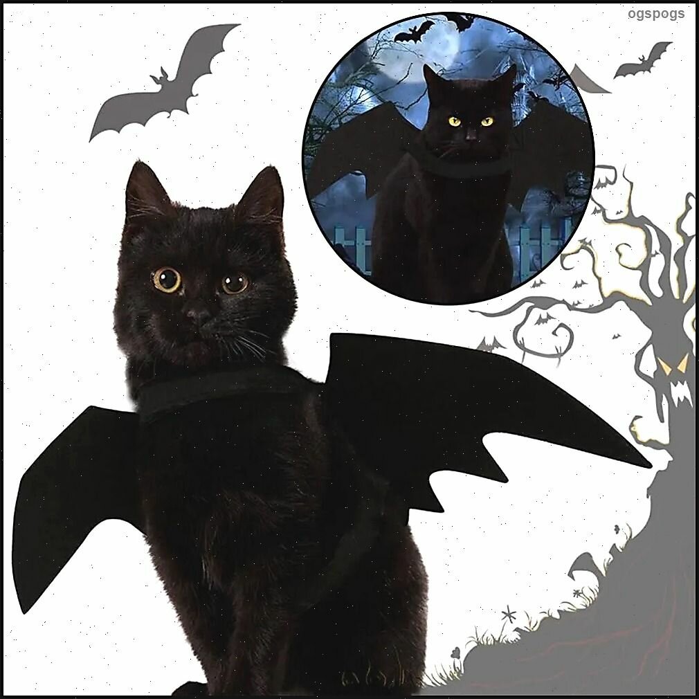 Милый костюм для кошек в форме крыльев летучей мыши/Костюм кошки на Хэллоуин