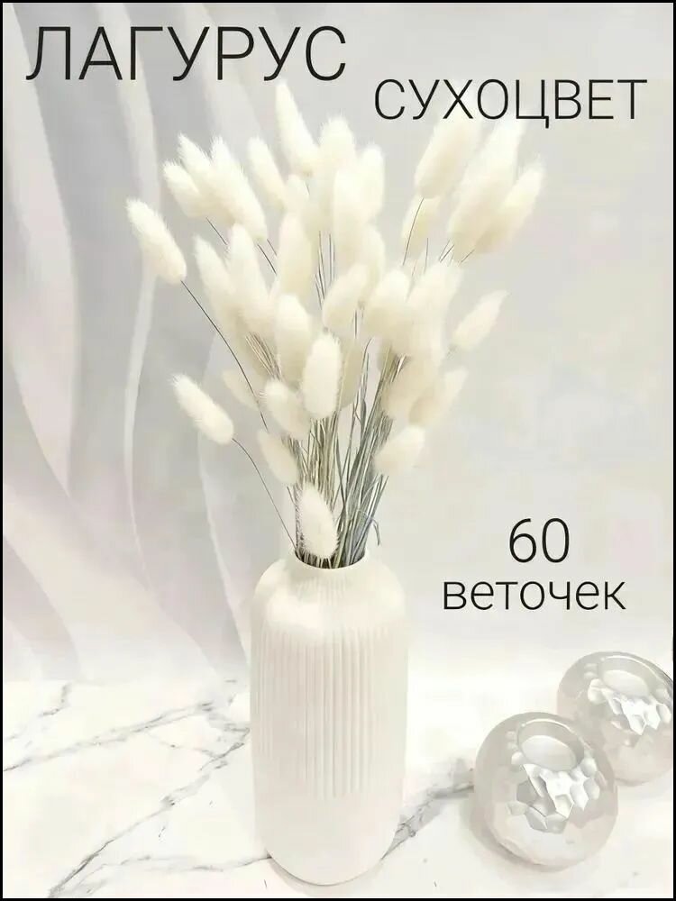 Сухоцветы Лагурус, 55 см, 100 гр, 60 шт