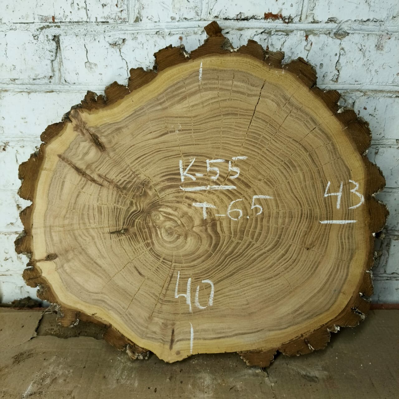 Торцевой спил дерева Карагач К-55, диаметр 40-43 см, выровнен в плоскости