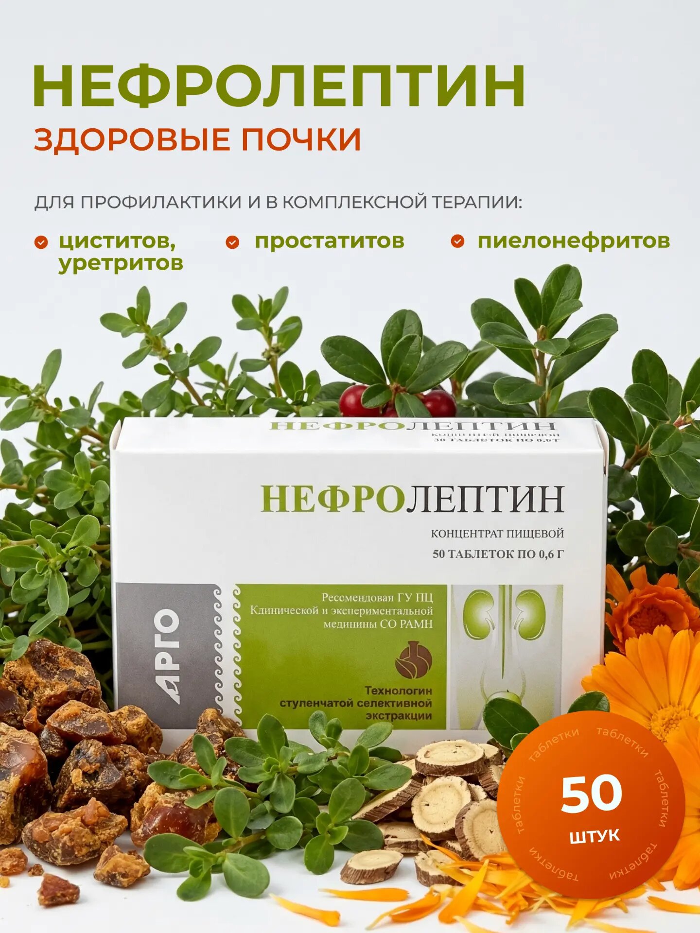 Нефролептин концентрат пищевой для почек и мочевыделительной системы, от отеков (Апифарм, арго, Россия) 50 таблеток