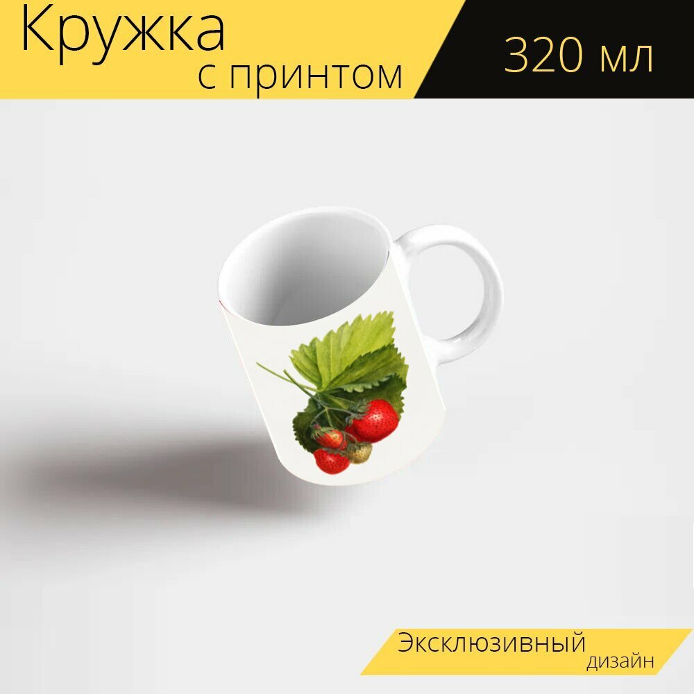 Кружка с рисунком, принтом "Плоды клубники фруктовое искусство Клубника фрукты фрукты арт нарисовал красивый плакат для кухни клубника фрукты Изобразительное искусство." 320 мл.
