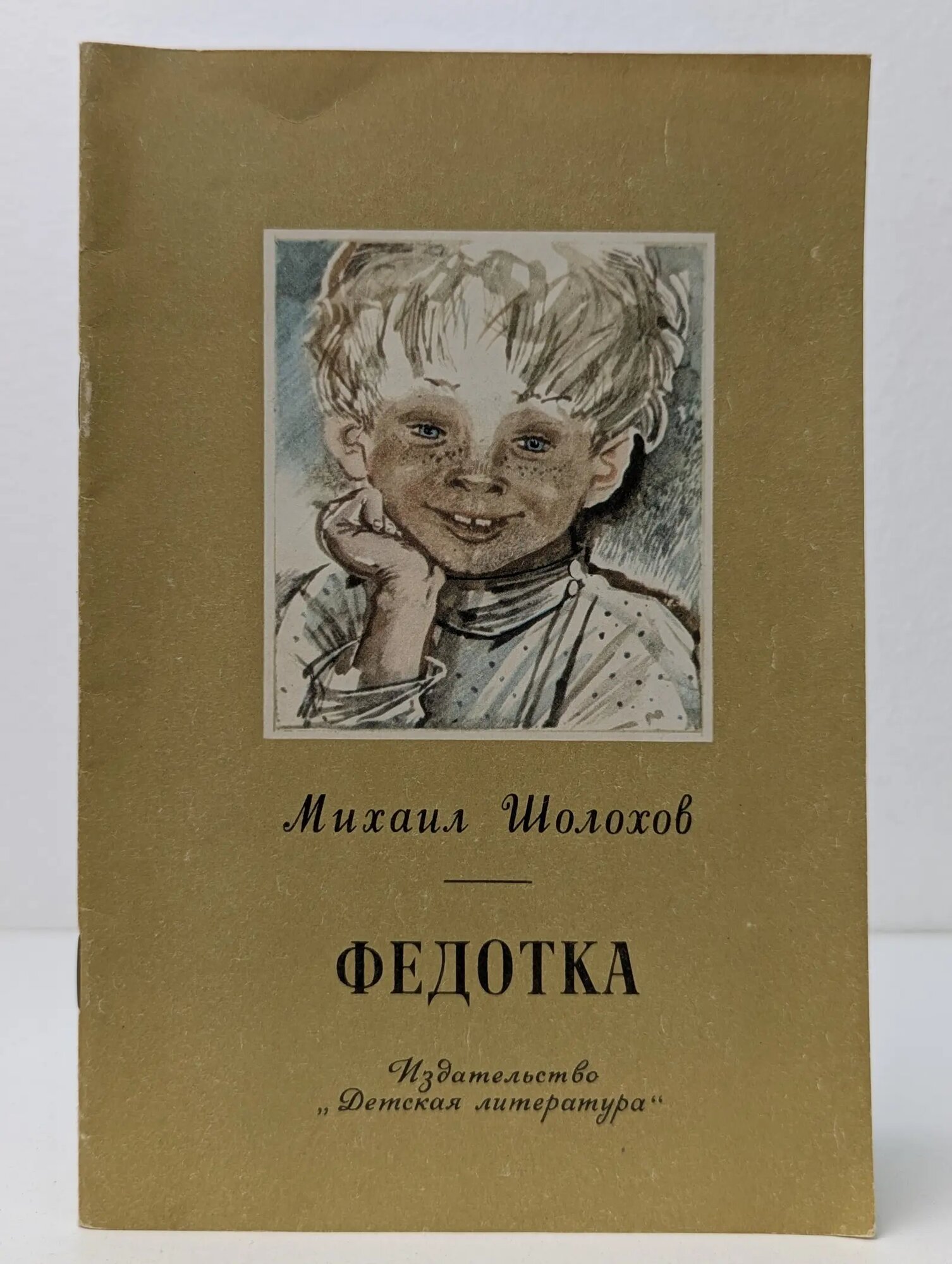 Школьная библиотека. Федотка Шолохов Михаил Александрович 1979