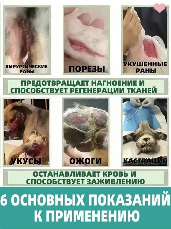 Заживляющий спрей для ран домашних животных 100 мл.1
