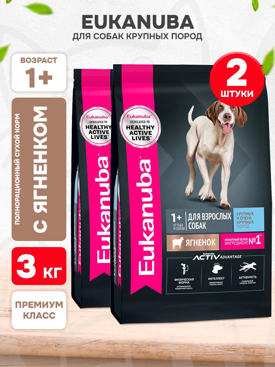 Корм сухой Eukanuba для взрослых собак крупных пород, ягненок, 3 кг х 2 шт