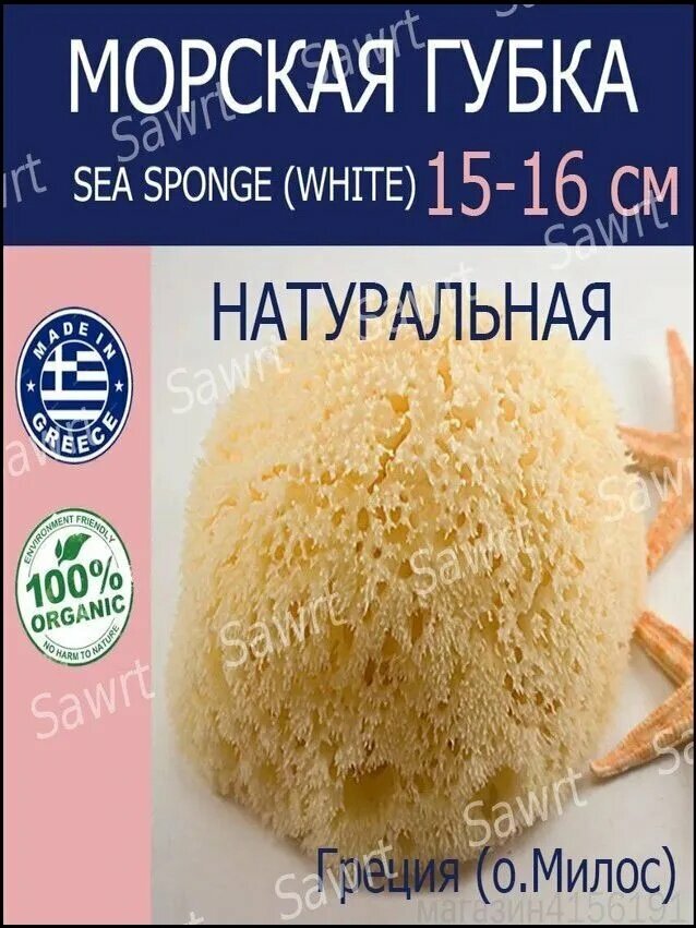 Губка морская натуральная, 8-9см W-7 Греция