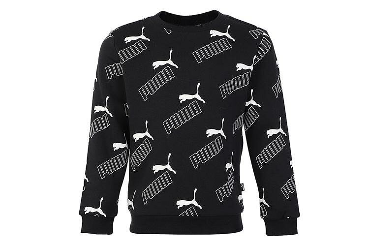 Толстовка PUMA 538869950