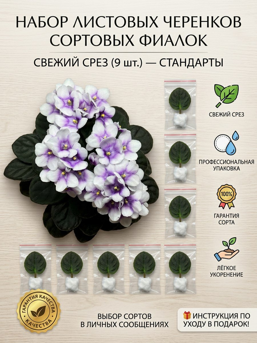Набор листовых черенков сортовых фиалок, 9 штук