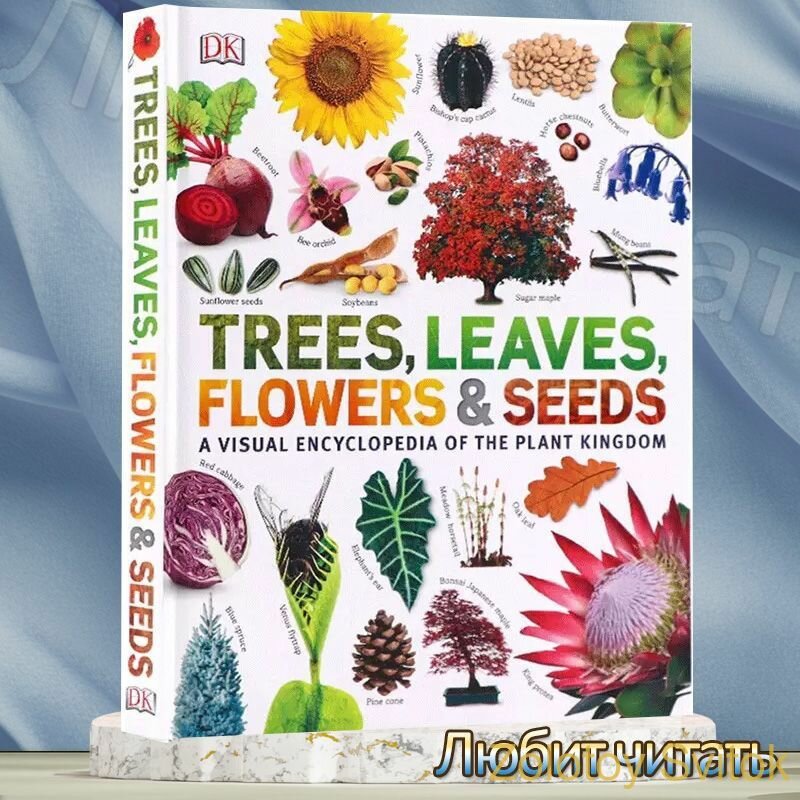 Книга "DK Trees Leaves Flowers Seeds", 2024 г, Английский язык