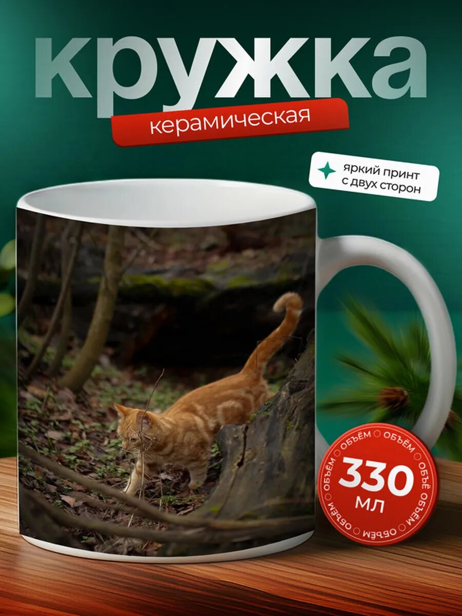 Кружка Северная лесная кошка 59,
