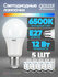 Лампочка светодиодная Gauss LED Elementary A60 12W E27 6500K 23232 5 штук