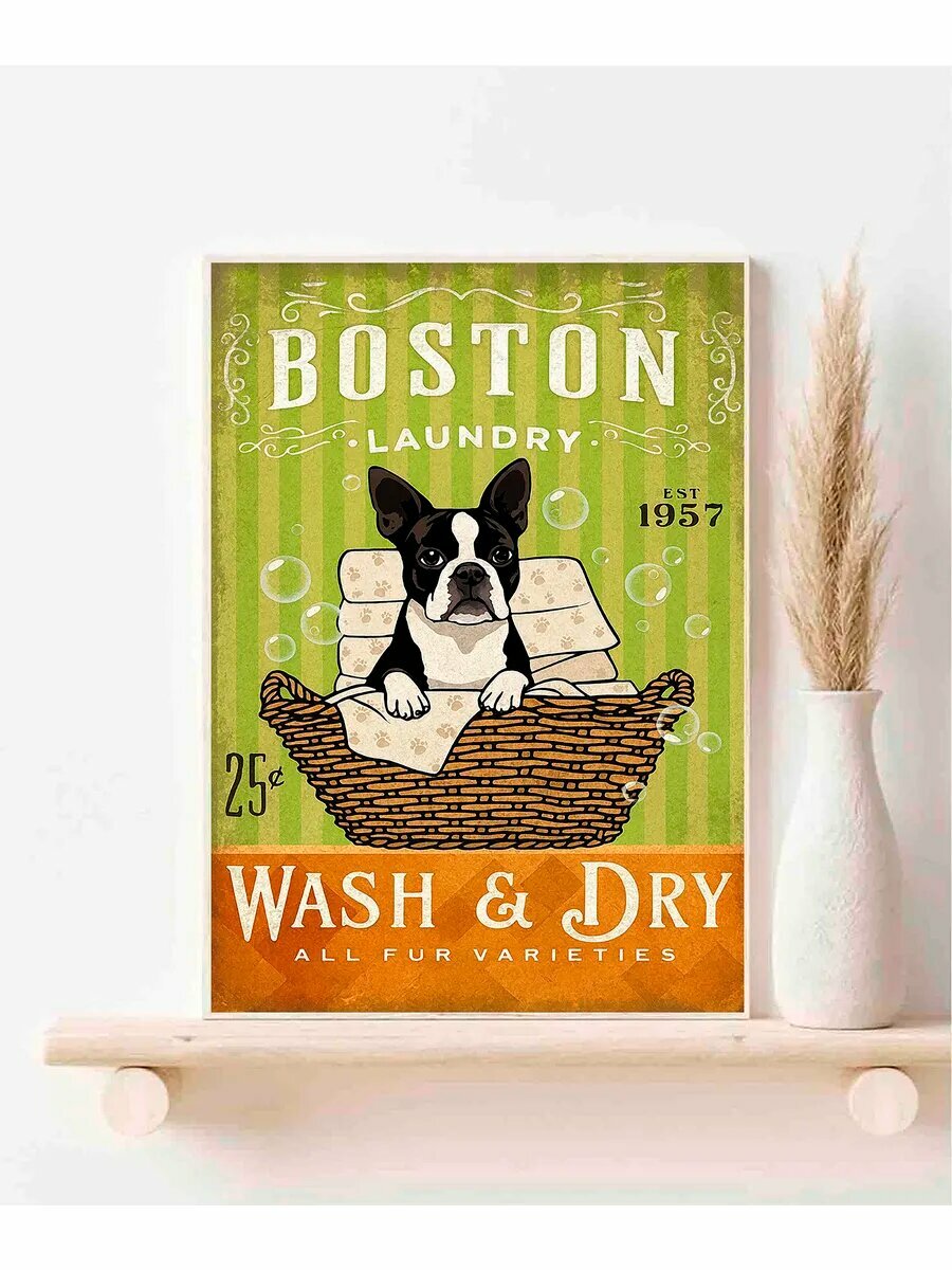 Собака породы Бостон-терьер, Wash & Dry All Fur Varieties,