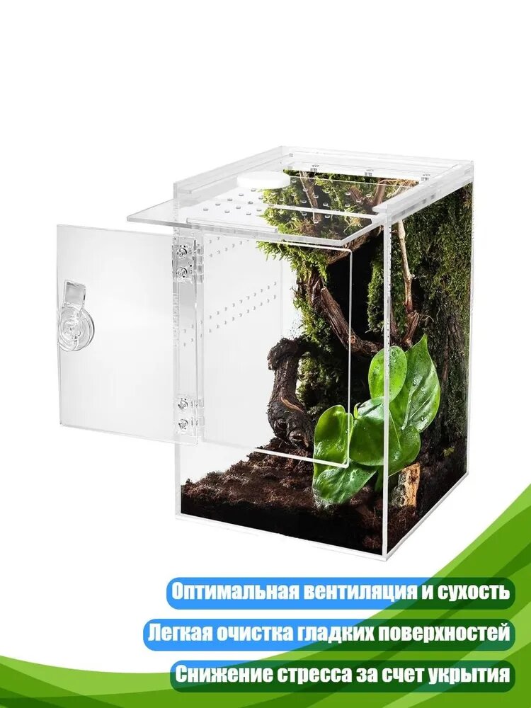 Акриловый террариум для скакунов