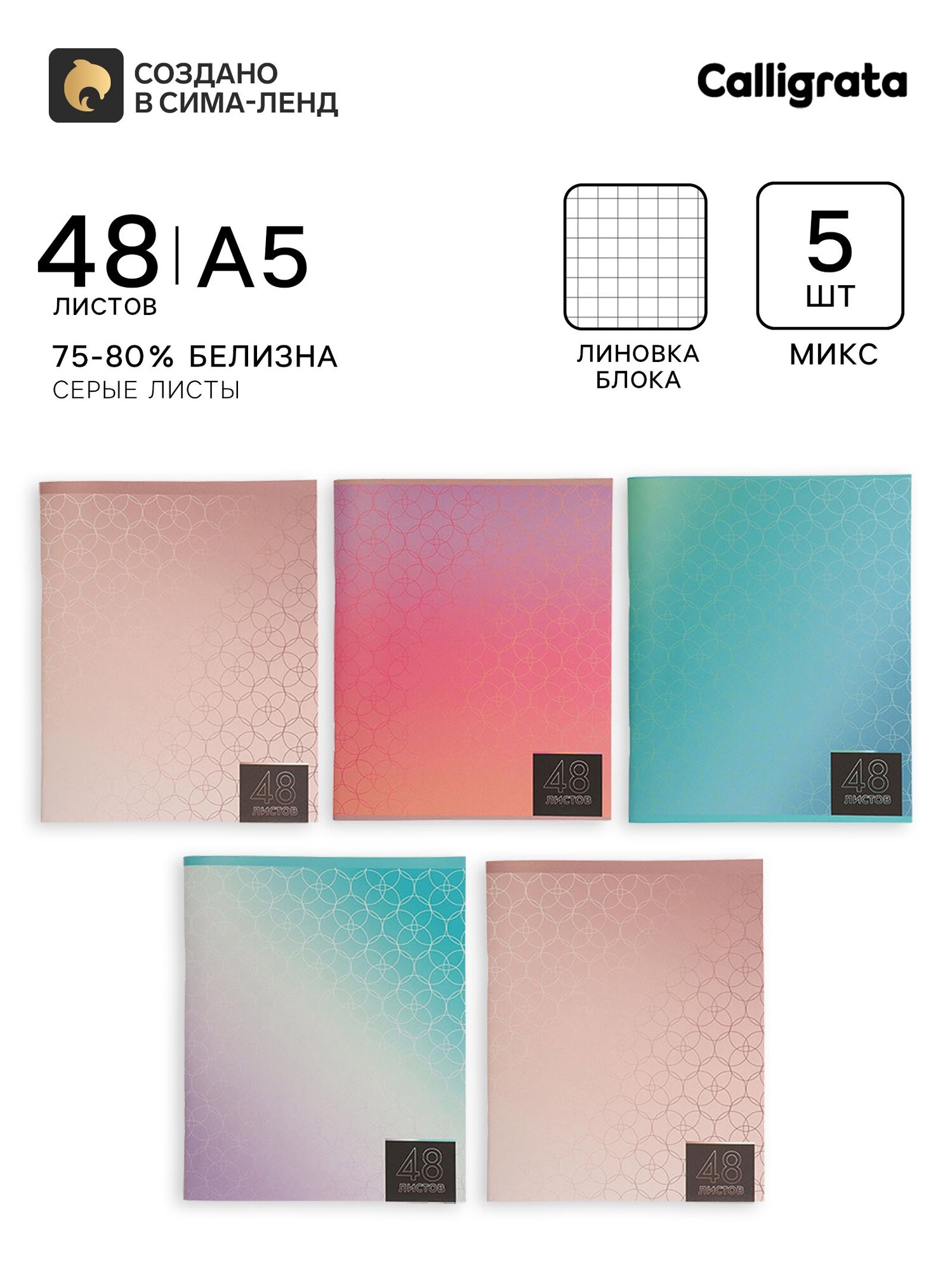 Тетради 5 штук (4 разные, 1 повторяющаяся), 48 листов в клетку «Мыльные пузыри», серые листы, обложка мелованная блок №2