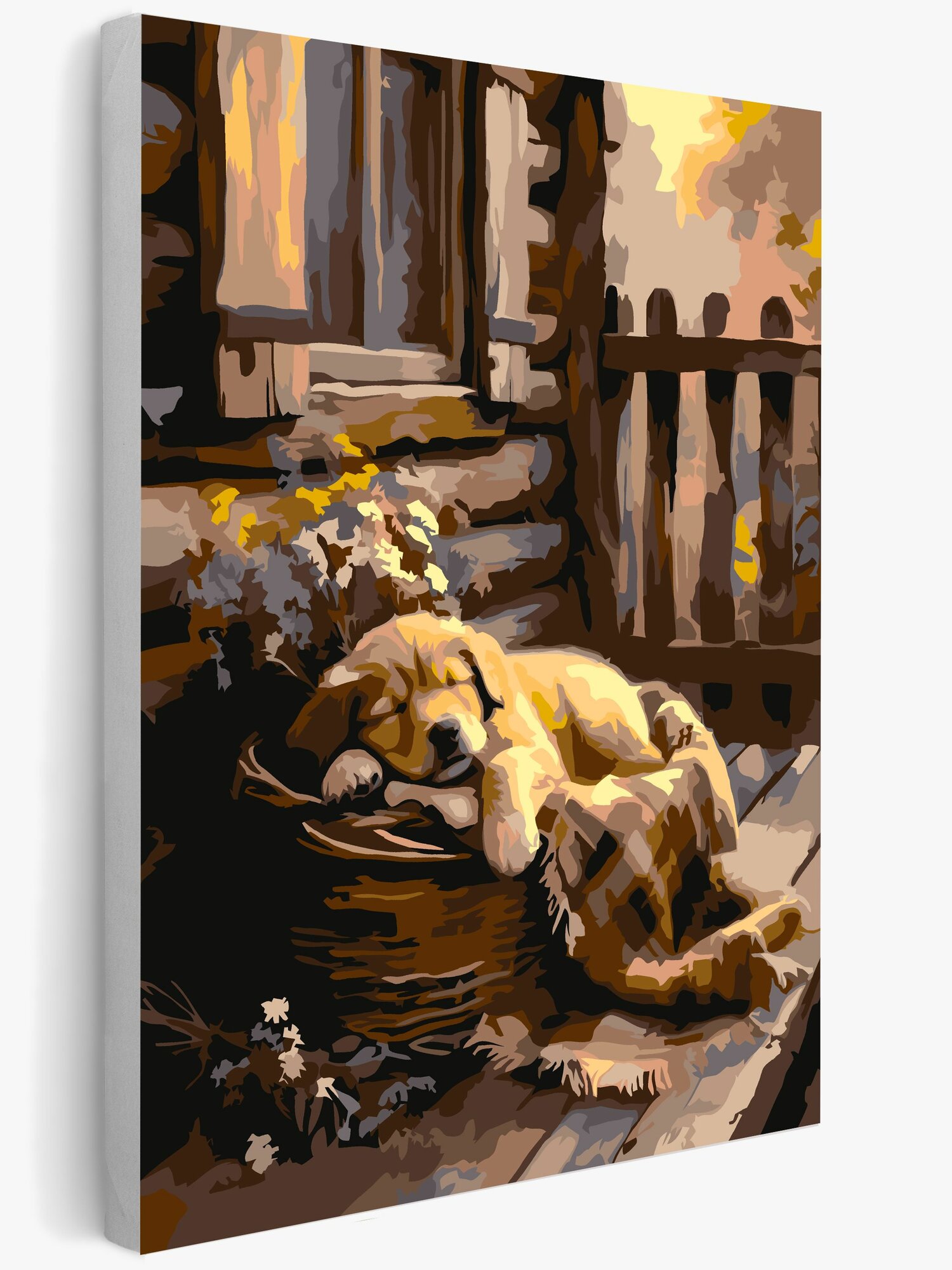 Картина по номерам лабрадор