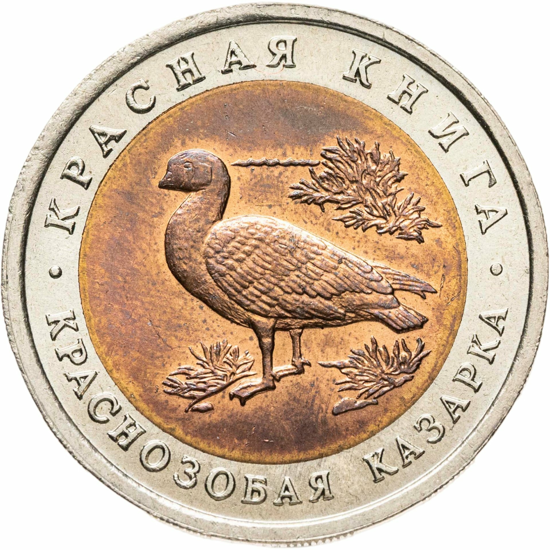 10 рублей 1992 ЛМД Краснозобая казарка, Биметалл, в сохранности AU-UNC