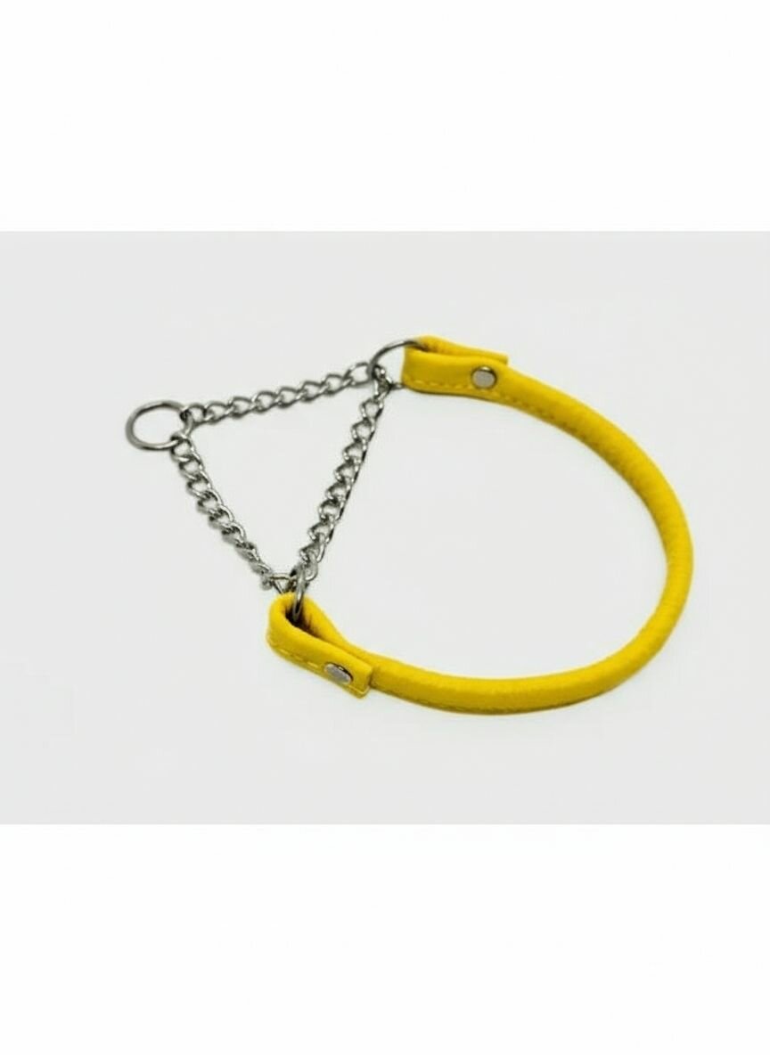 Ошейник для шпица круглого сечения полуудавка для всех пород Astarta dog