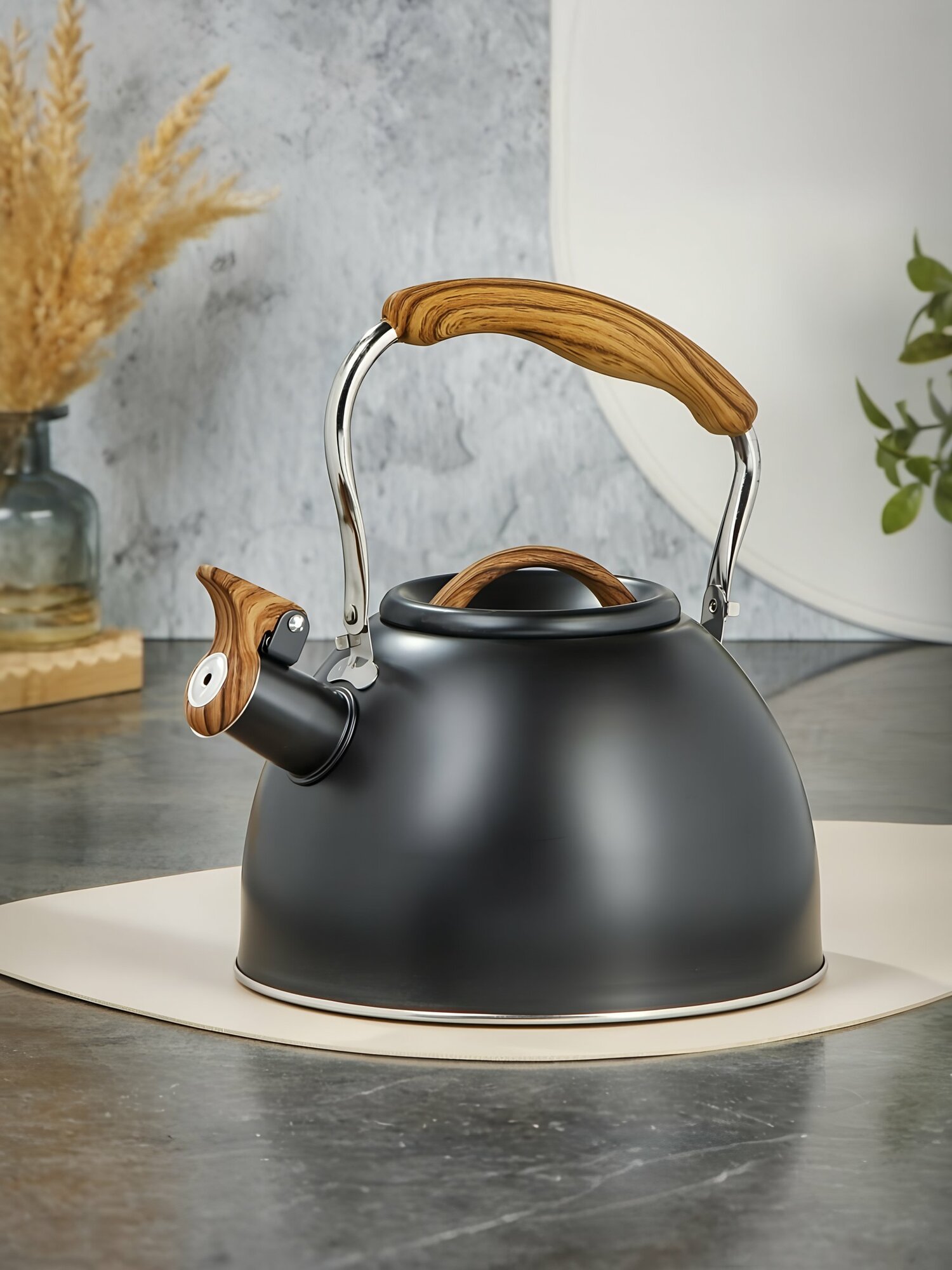 Чайник нержавеющая сталь, 2.5 л, со свистком, матовый, ручка с покрытием, нейлон, Daniks, индукция, GS-04415B