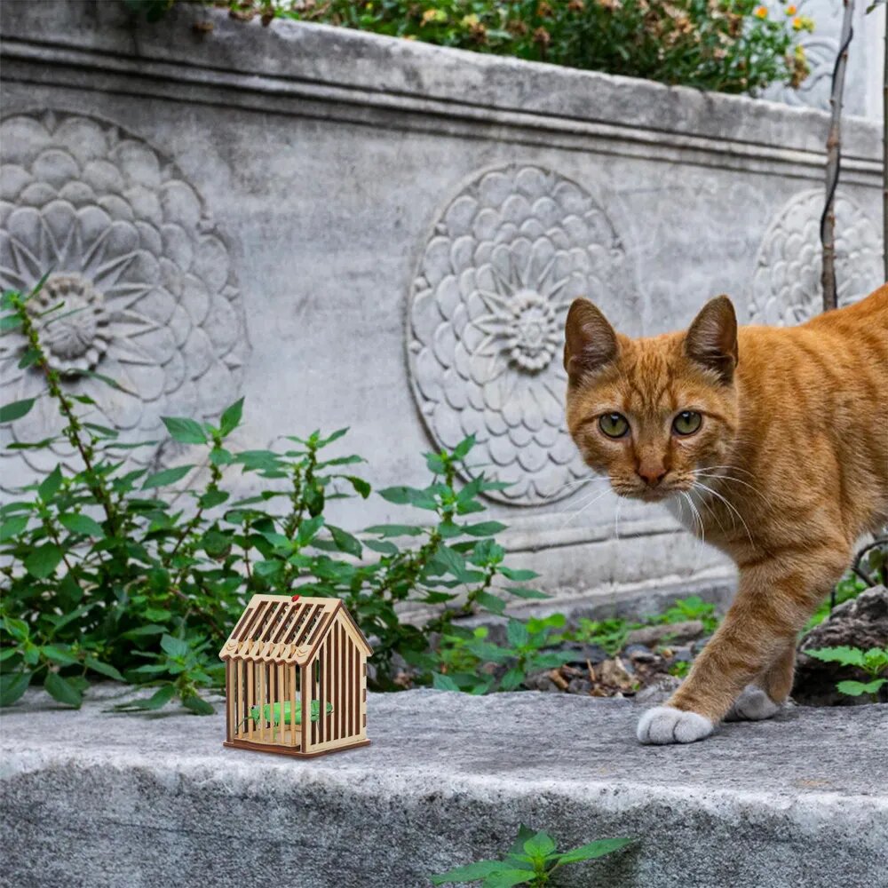 Деревянная клетка для кузнечиков и сверчков для хранения и транспортировки