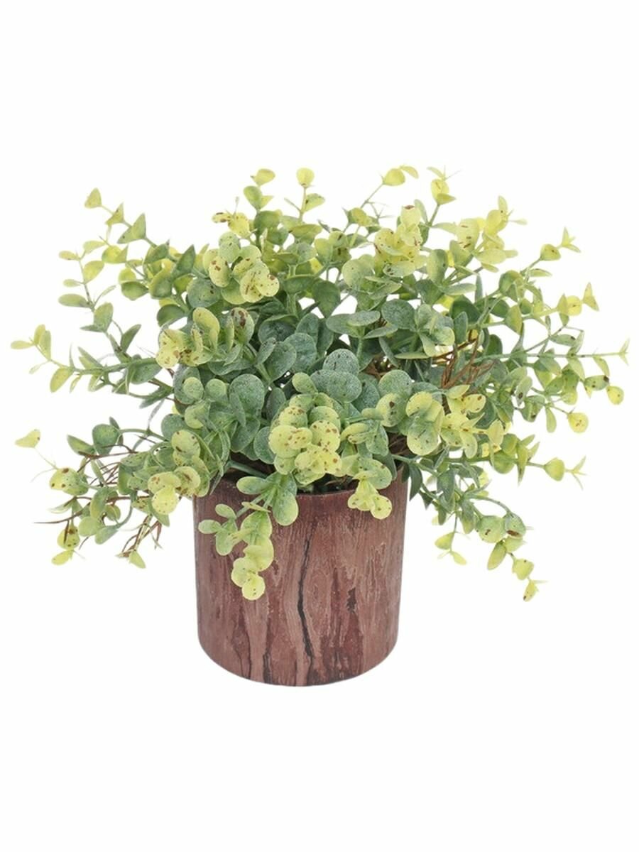 Цветок искусственный в горшке "Эвкалипт" 16см темная трава