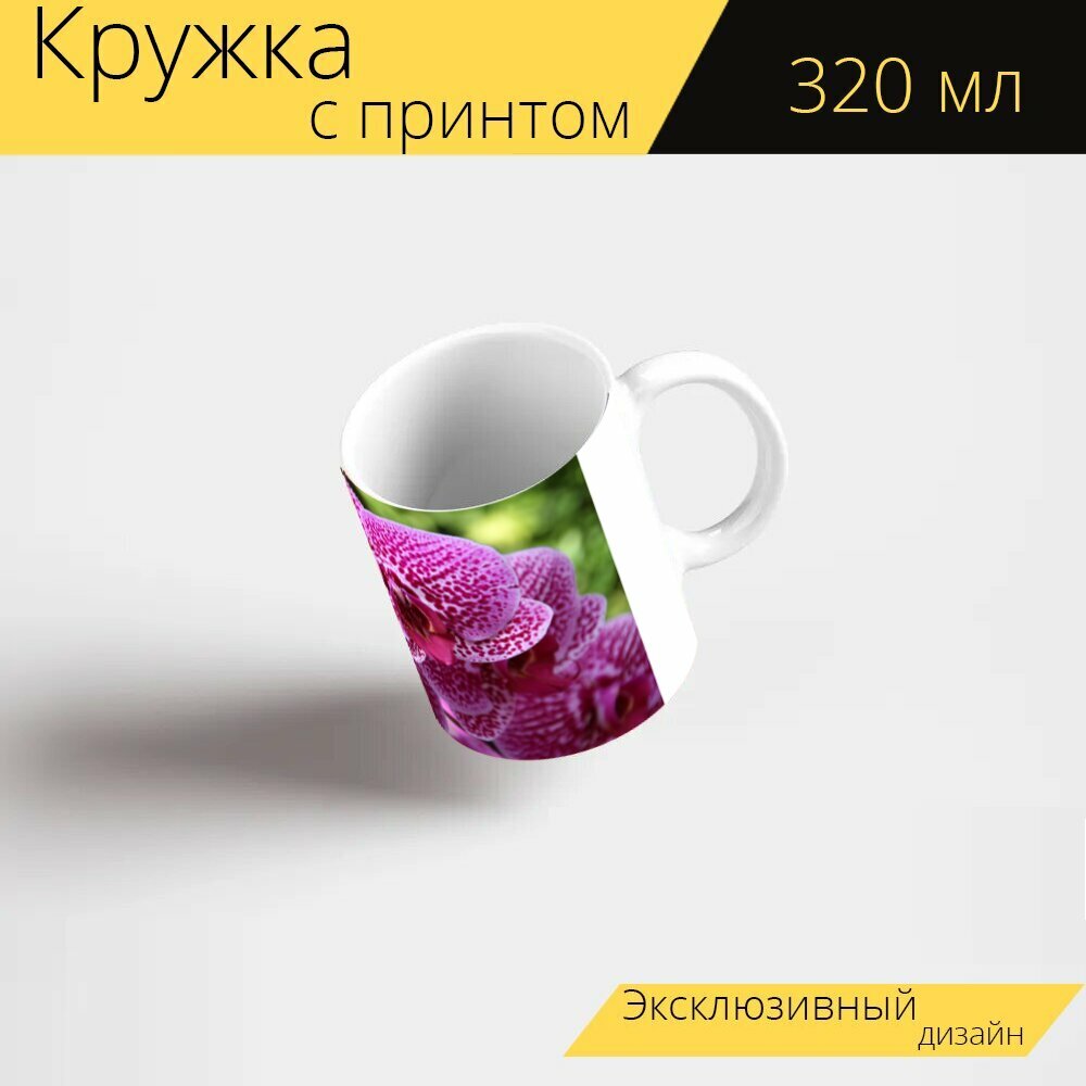 Кружка с рисунком, принтом "Фаленопсис, фиолетовый, орхидея" 320 мл.