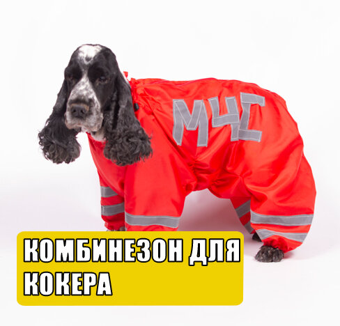 Дождевик-комбинезон для английского кокер-спаниеля кобеля, повышенной прочности, с надписью МЧС